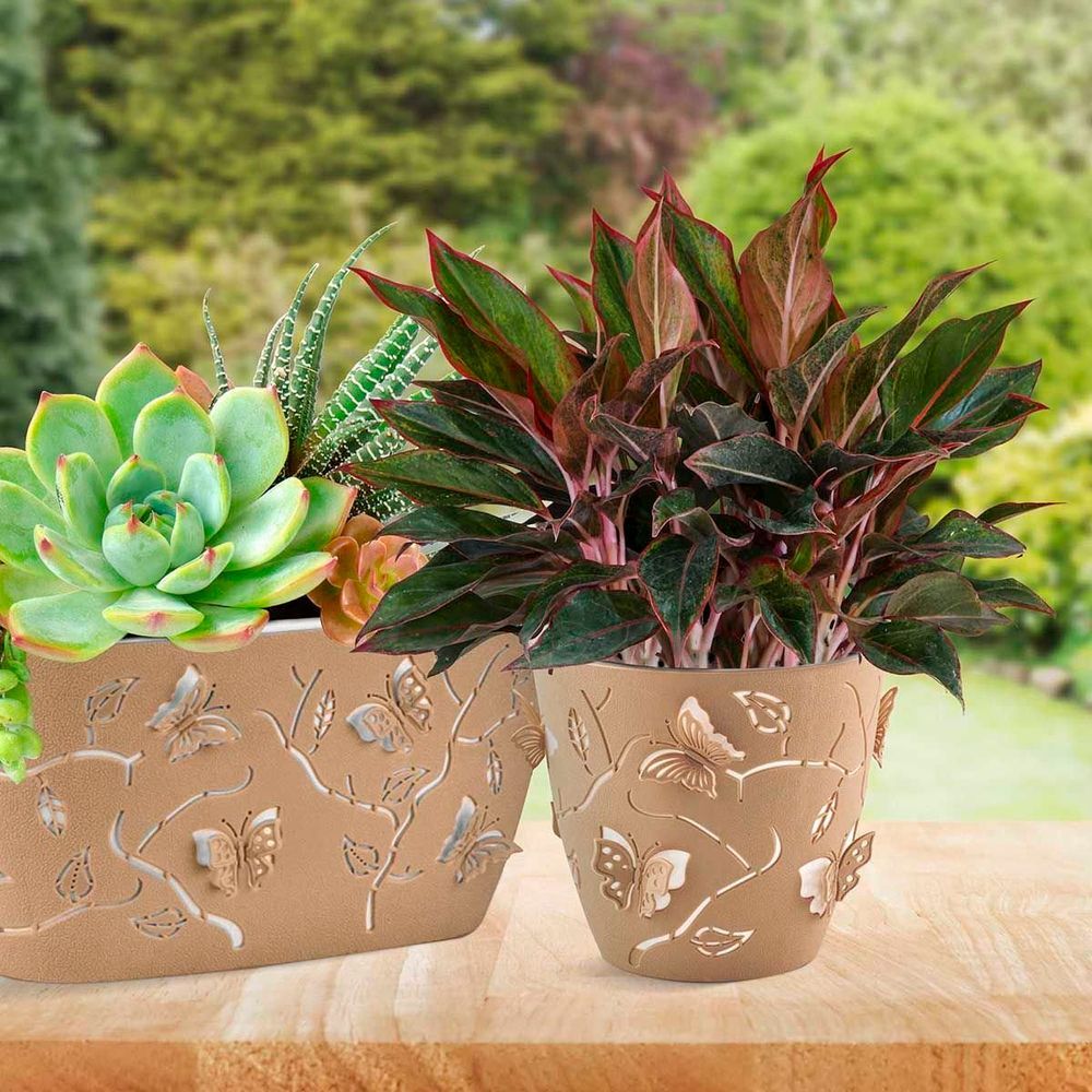 Cachepot Plantas E Flores Borboleta 3d 1,4 Litros Plasvale Marrom ...